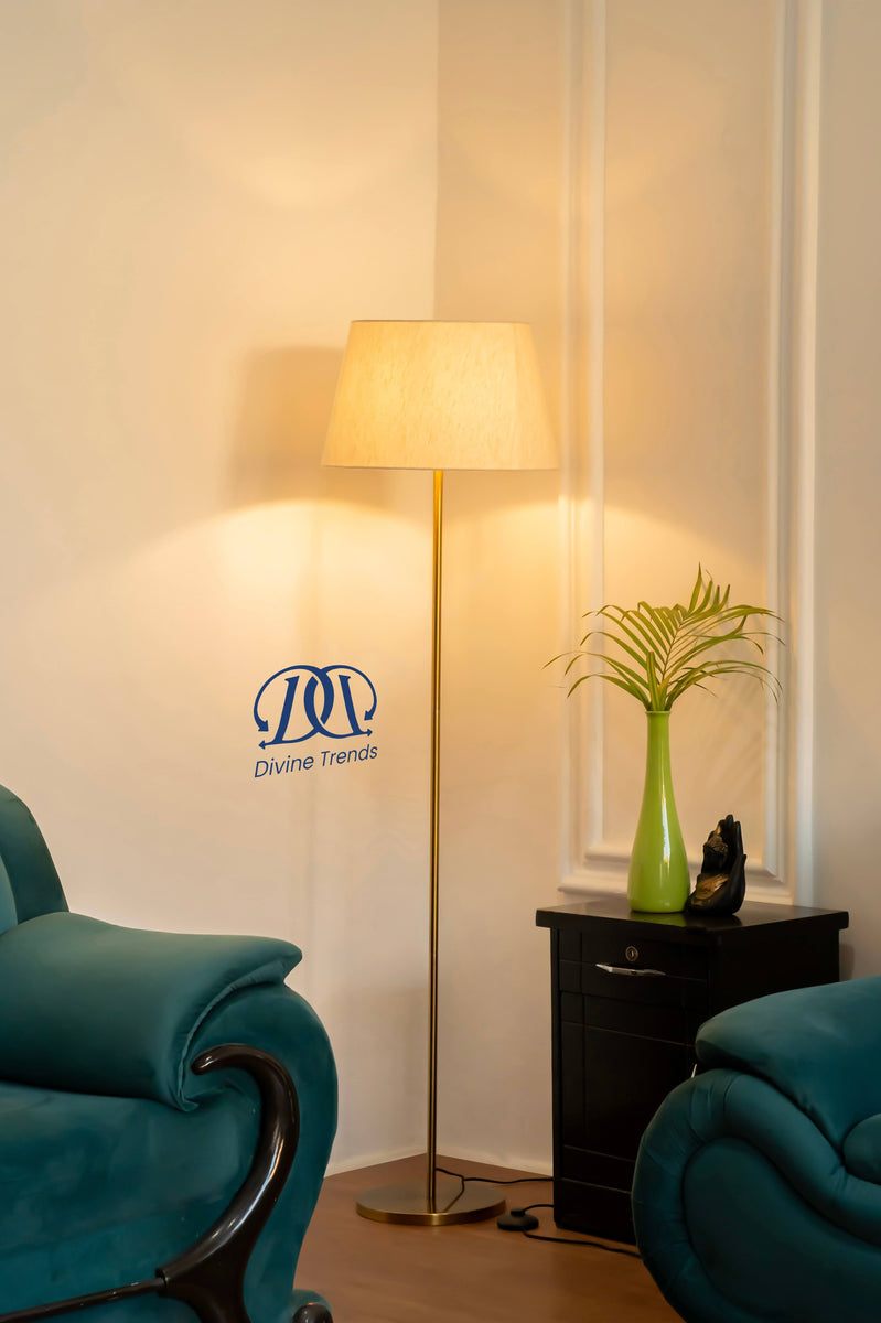 Home page – Divine Trends